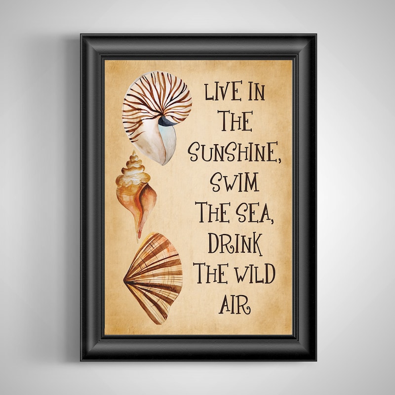 Seashell Artwork - Etsy