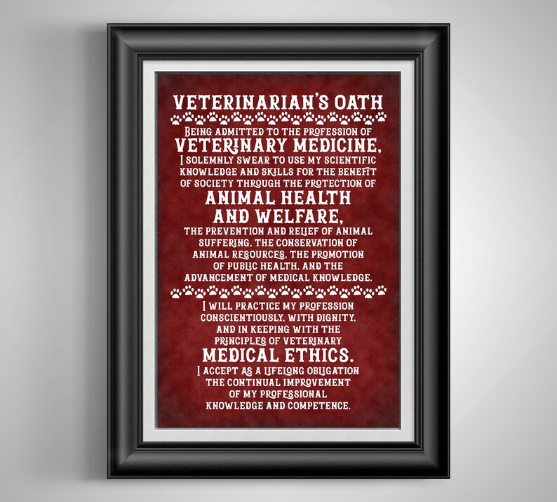 Veterinarian's Oath Animal Clinic Wall Art Animal Hospital Wall Decor ...