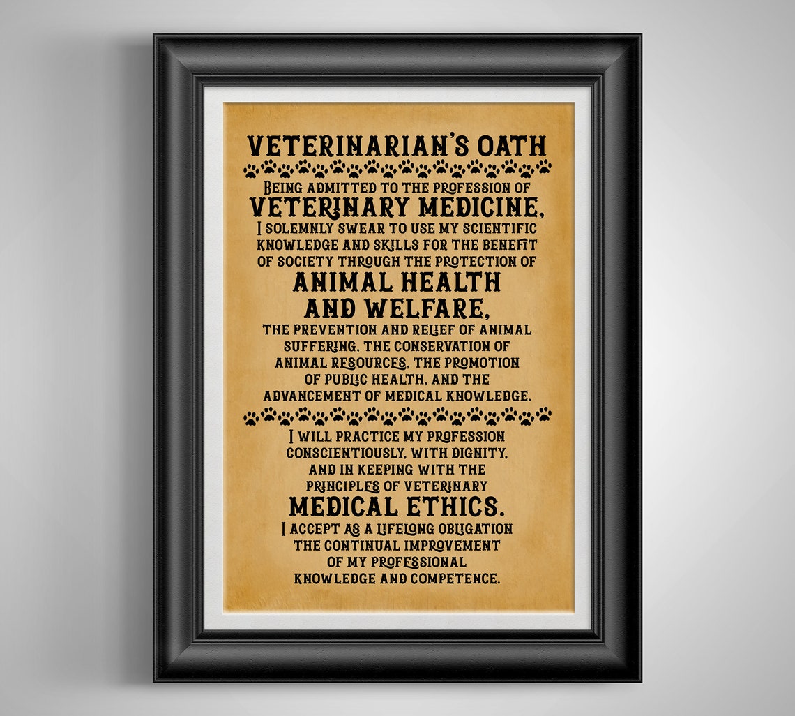 Veterinarian's Oath Animal Clinic Wall Art Animal Hospital Wall Decor ...