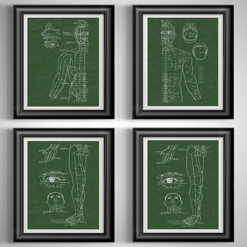 Master Acupuncture Art Anatomy Posters Chinese Medicine Unique Medical ...