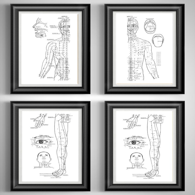 Master Acupuncture Art Anatomy Posters Chinese Medicine Unique Medical ...