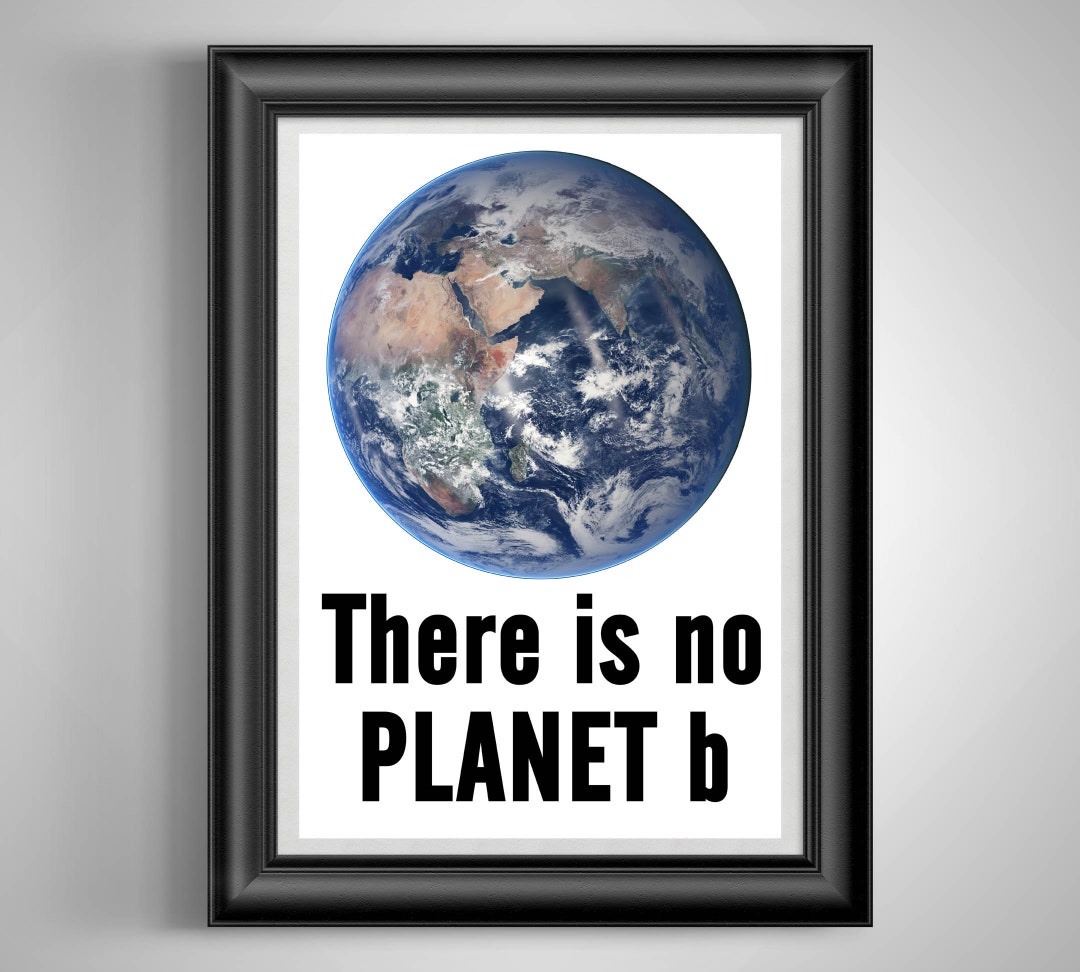There is No Planet B Protest Poster Save Ocean Earth Political Art ...