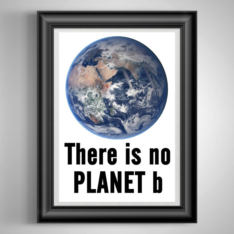 Save the Earth Poster - Etsy