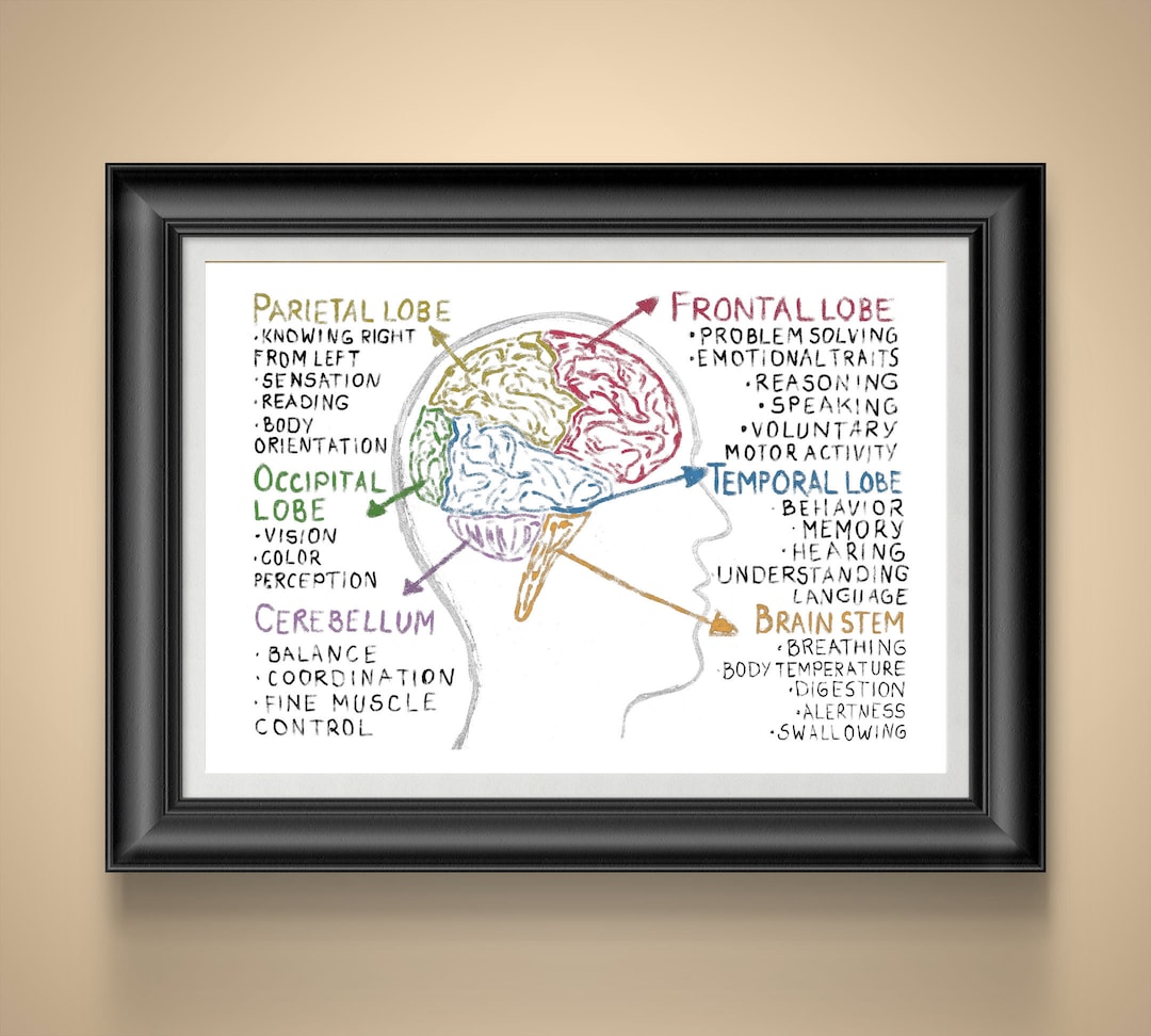 Psychology Art Brain Art Brain Poster Brain Wall Art Psychology Wall ...