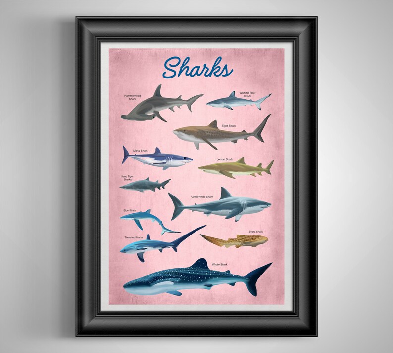 Stunning Shark Poster: Ocean Life Artwork - Nautical Wall Decor for Sea ...