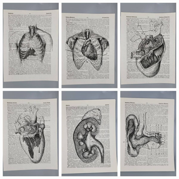 Medical Oddities - Etsy