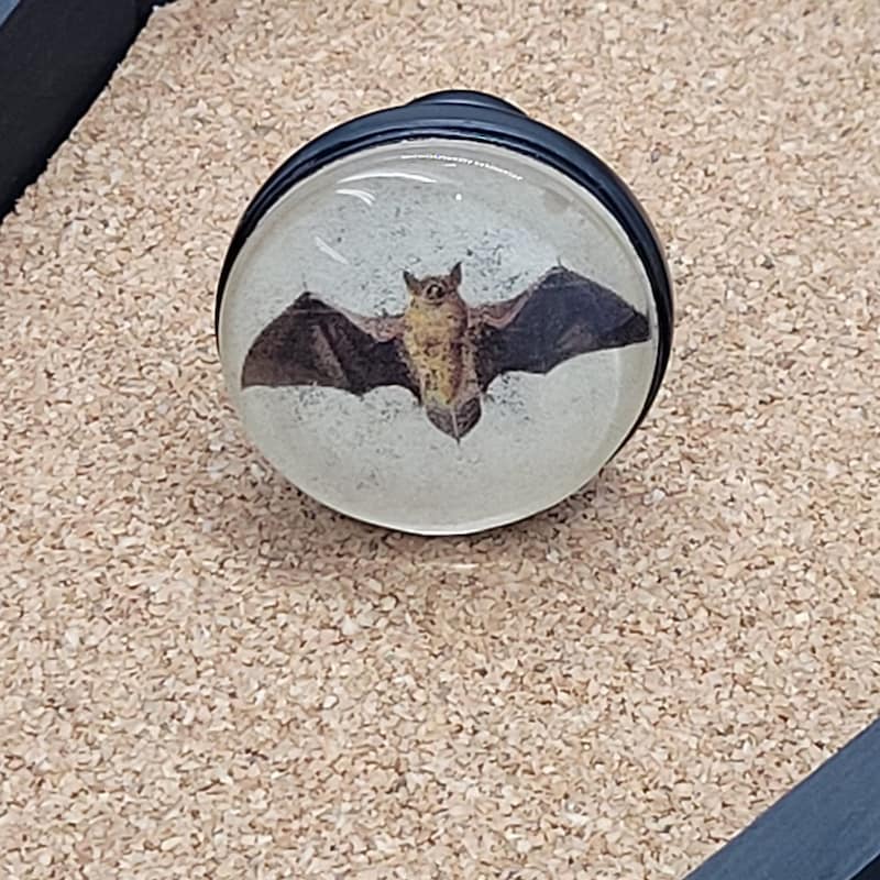 Bat Drawer Knobs - Etsy