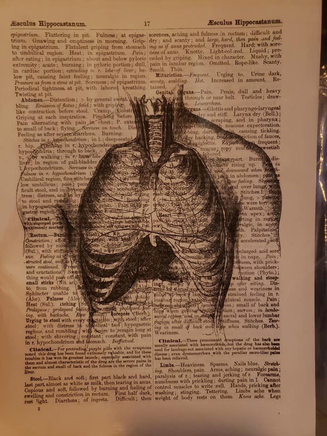 Vintage Style Medical Prints on Vintage Materia Medica Book | Etsy