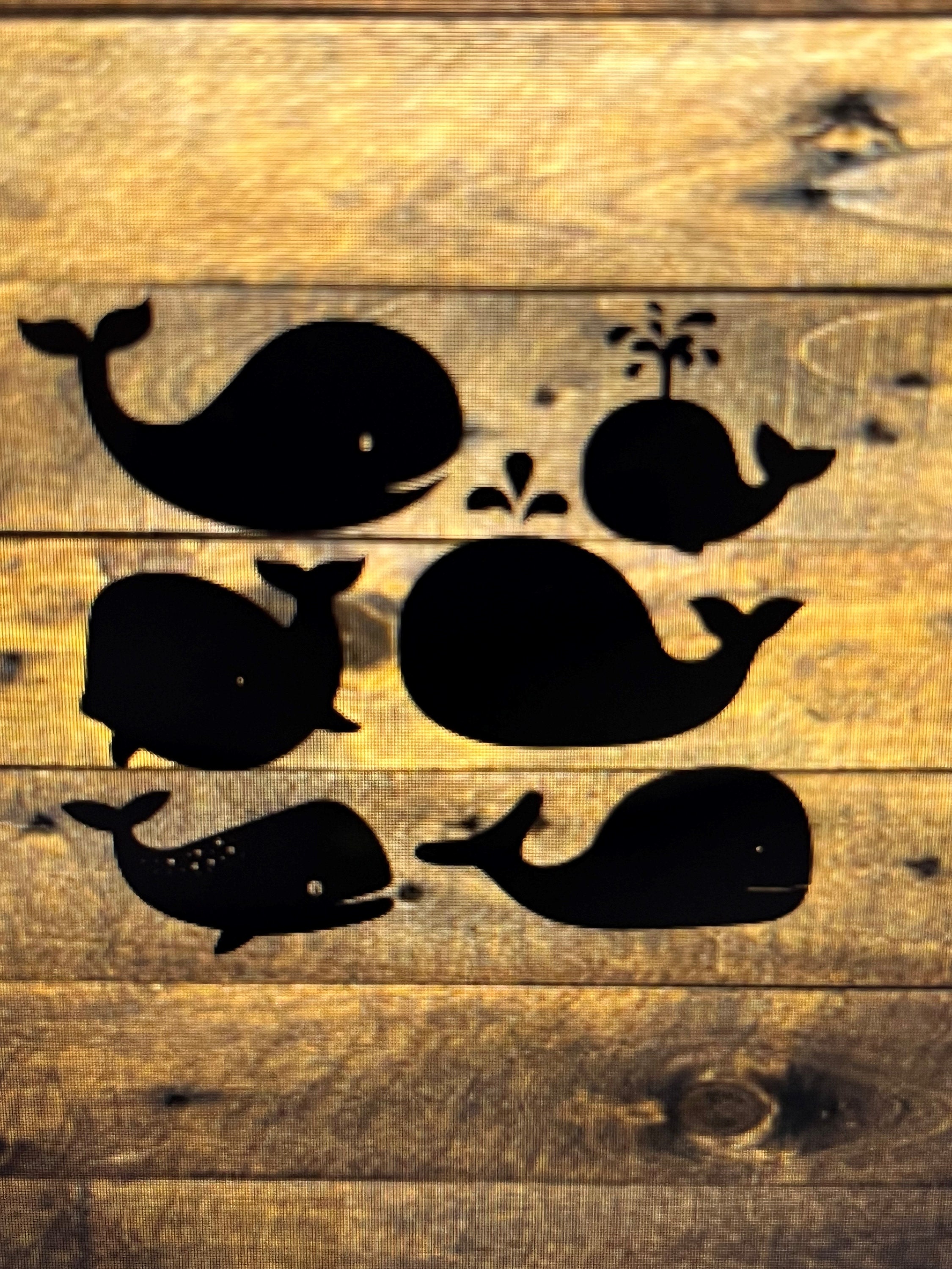 Whale SVG Bundle - Etsy