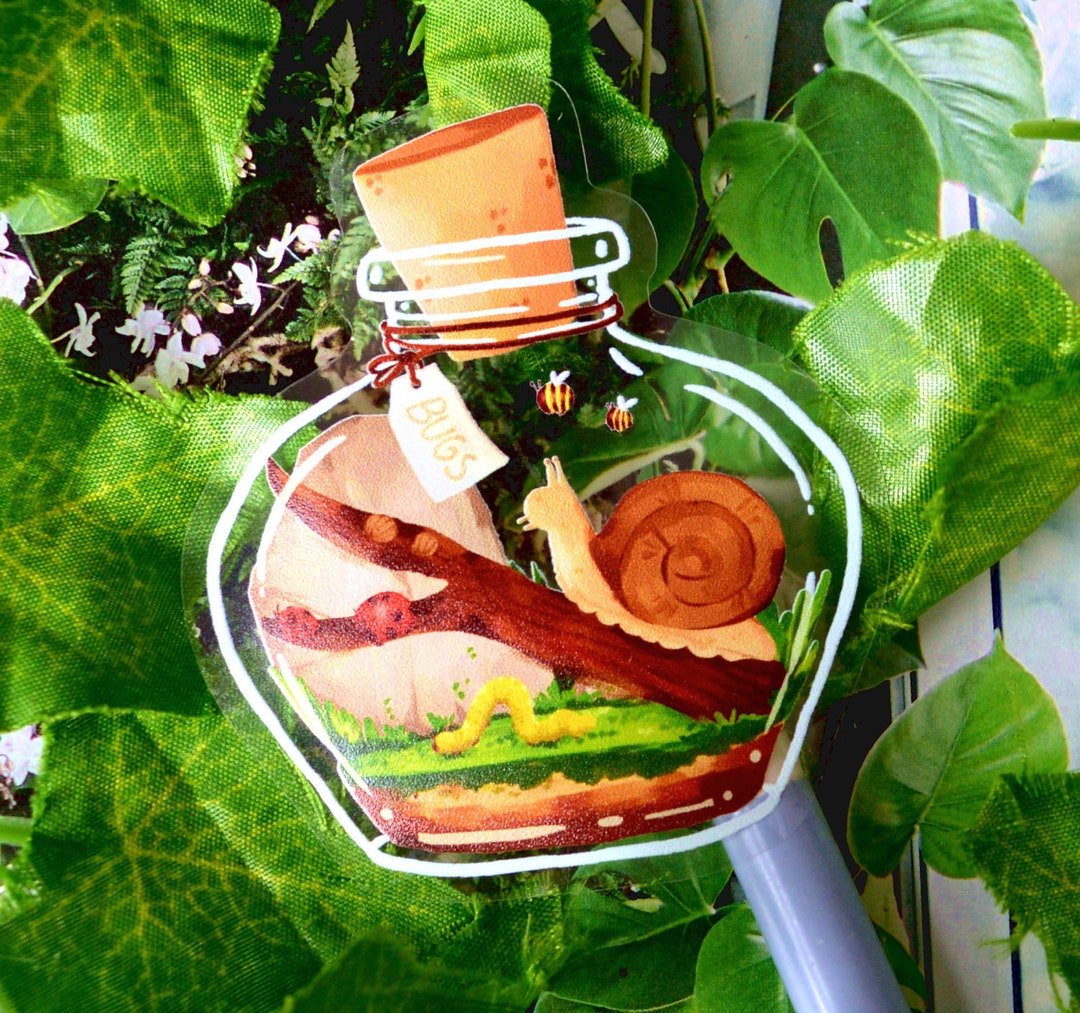 Bug Terrarium 7cm Transparent Sticker Bug Stickers, Snail Gifts, Bug ...