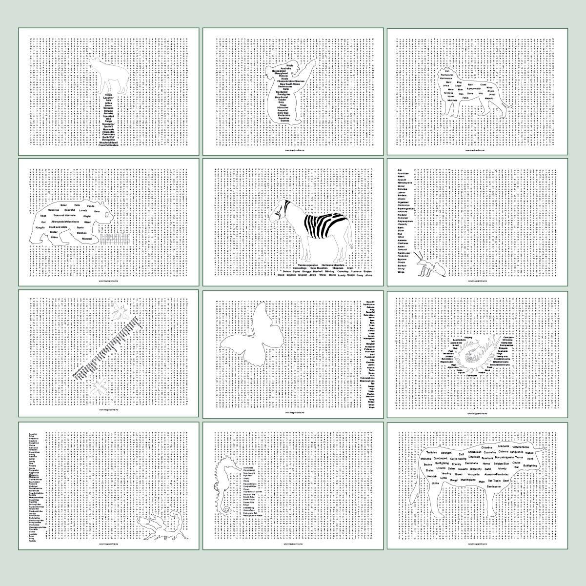 Animal Alphabet Adventure: English Word Search - (suitable for Ages 7 ...