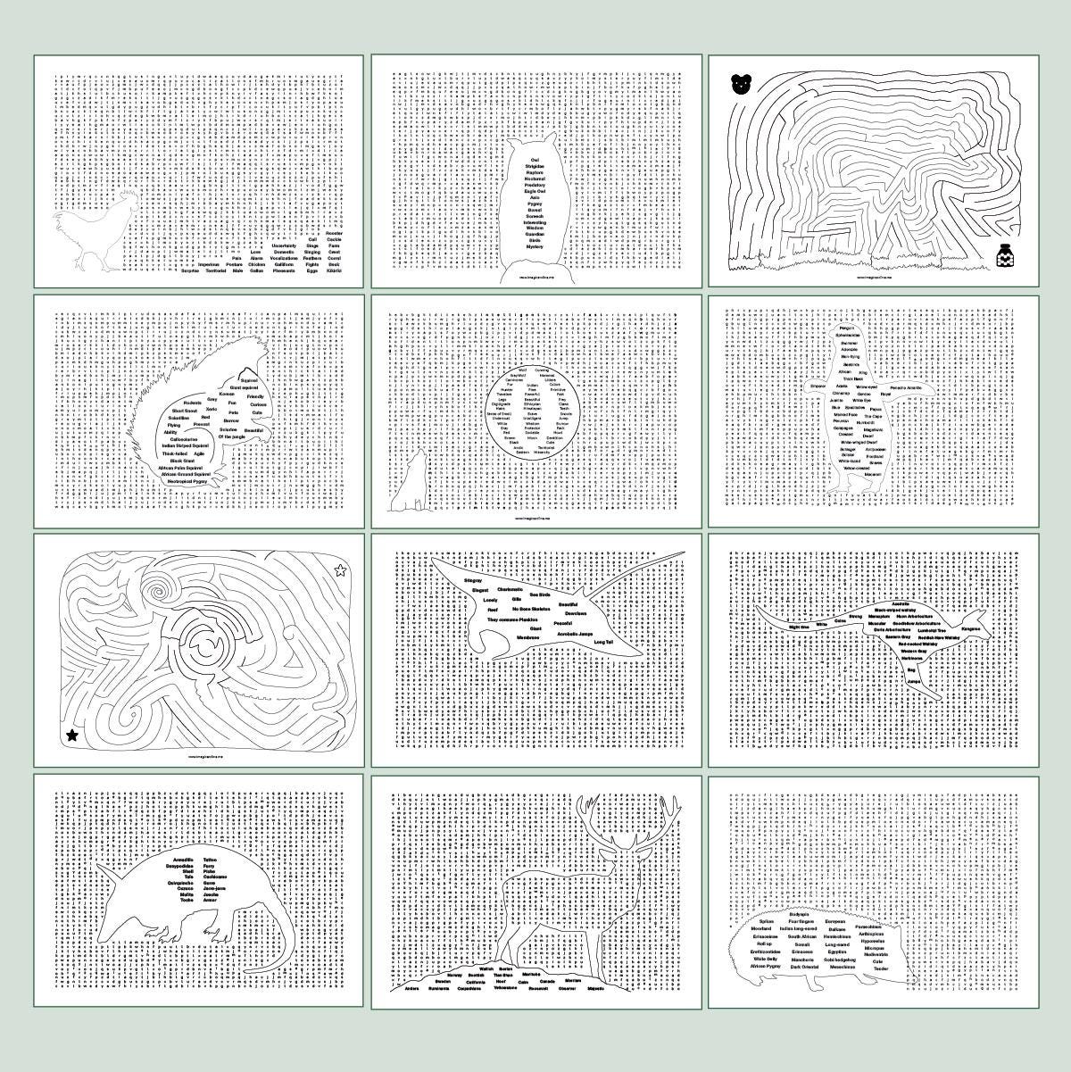 Animal Alphabet Adventure: English Word Search - (suitable for Ages 7 ...