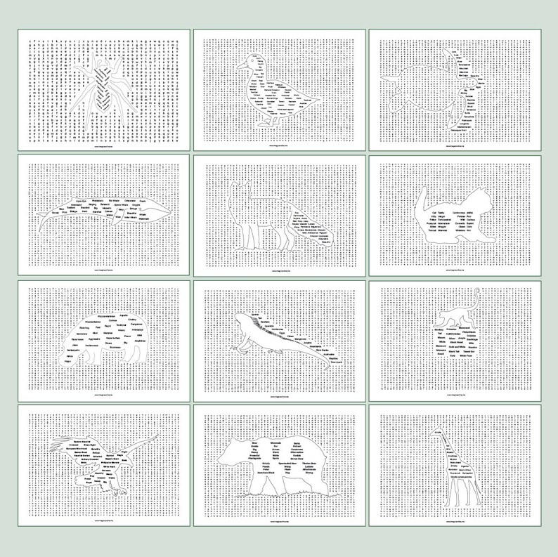 Animal Alphabet Adventure: English Word Search - (suitable for Ages 7 ...