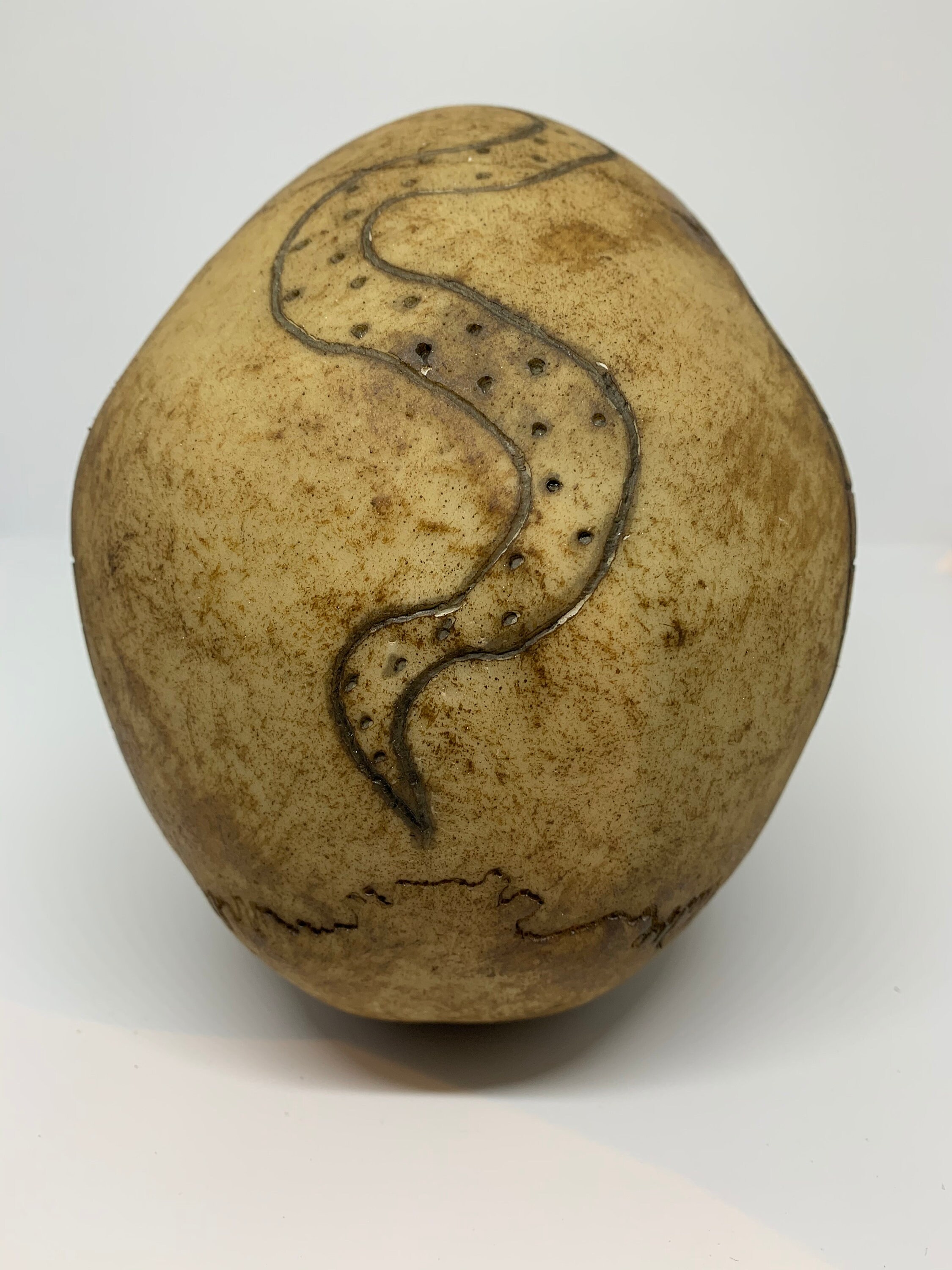 Borneo Headhunter Trophy Skull replica with snake motif