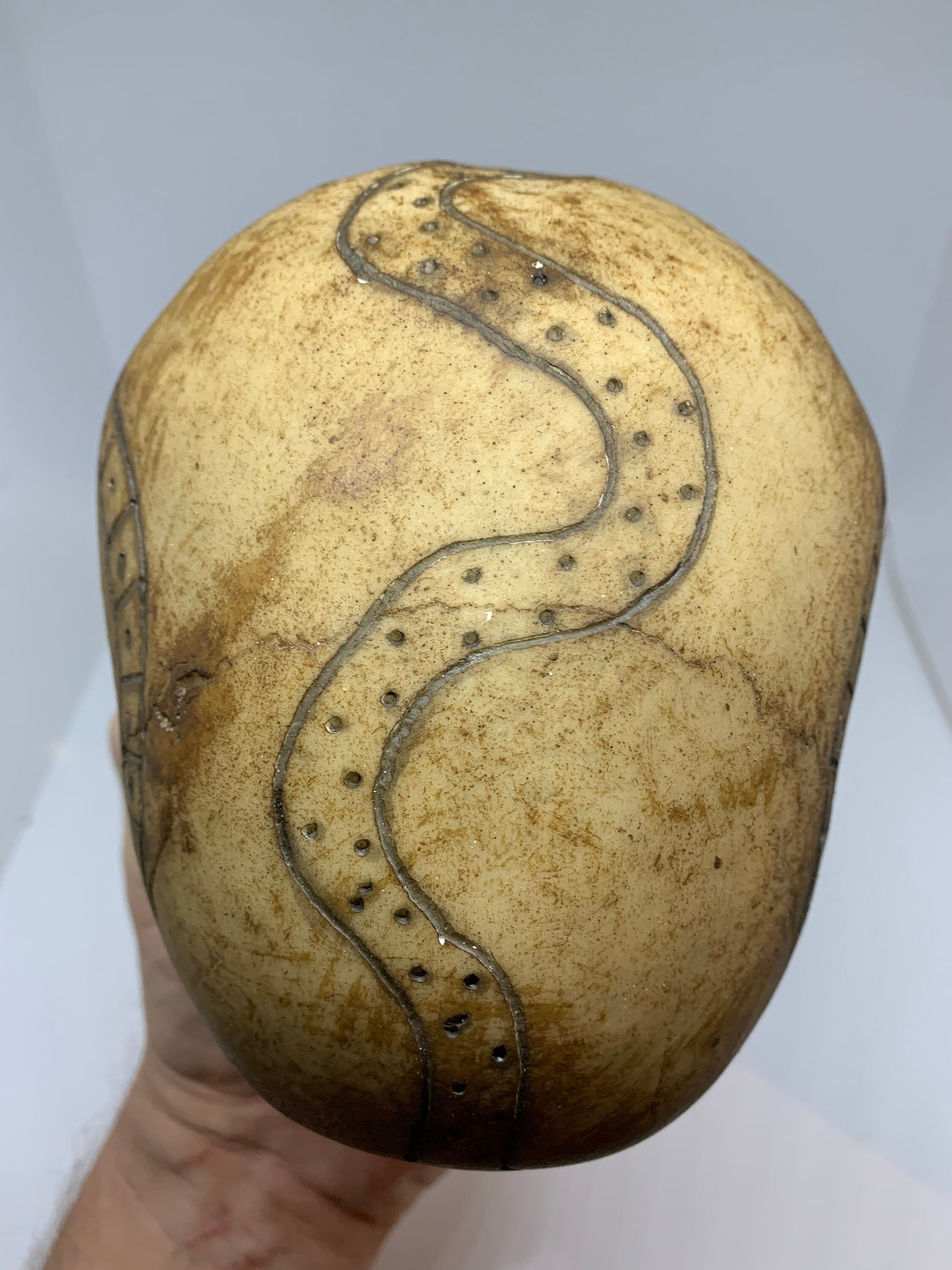 Borneo Headhunter Trophy Skull replica with snake motif