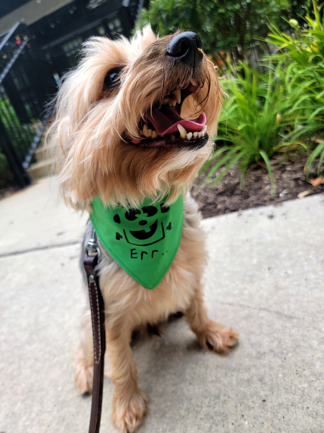 Franken Dog Bandanafrankenstein Bandana Frankenstein Dog - Etsy Sweden