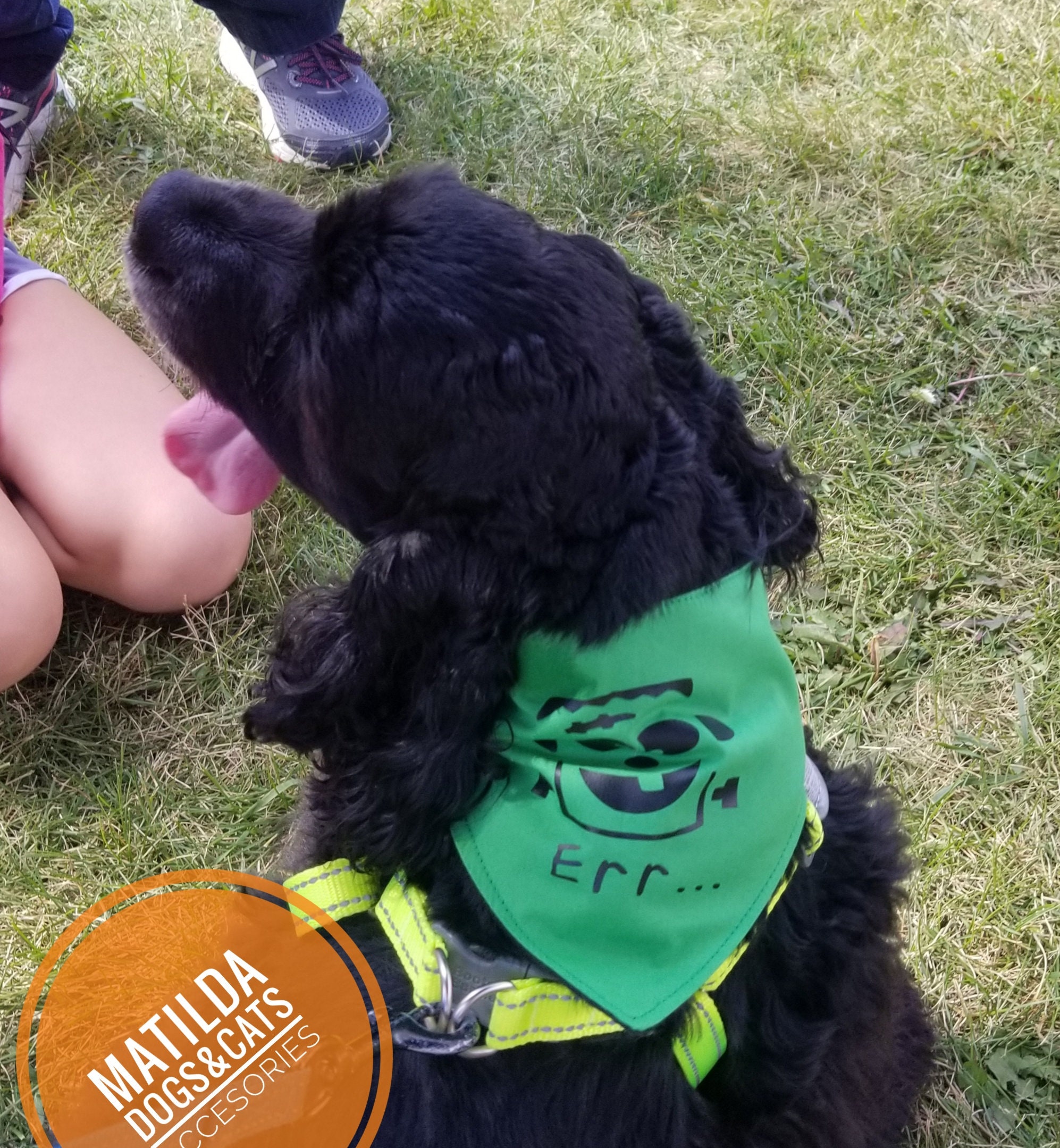 Franken Dog Bandanafrankenstein Bandana Frankenstein Dog - Etsy Sweden