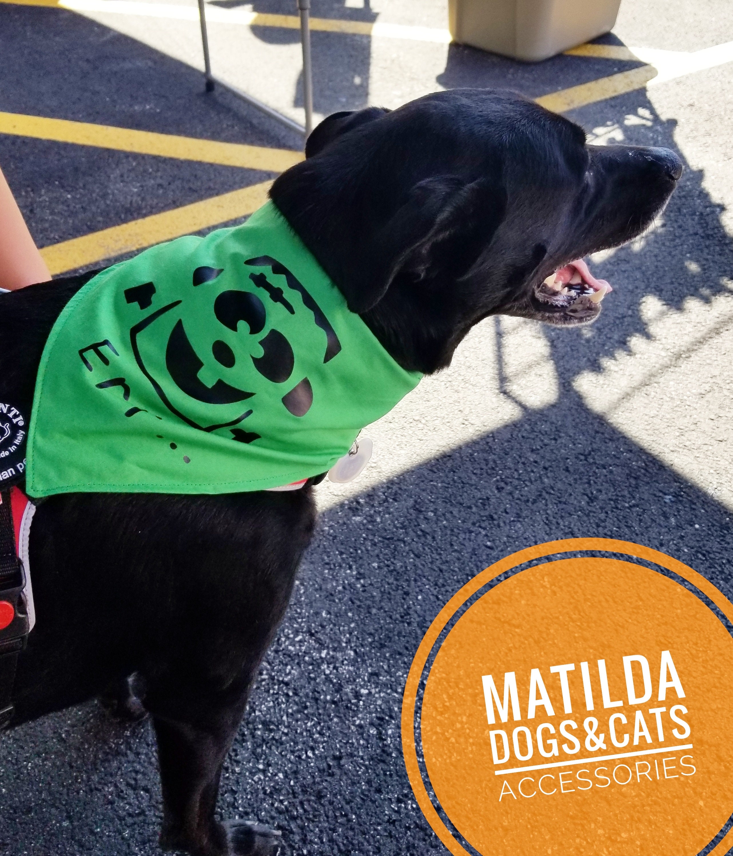 Franken Dog Bandanafrankenstein Bandana Frankenstein Dog - Etsy Sweden