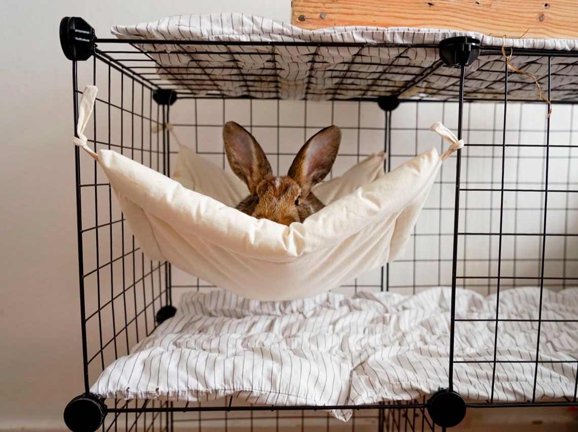 Bunny Hammock for Cage Playpen Crate Bed Mat for Rabbit Rat | Etsy Canada