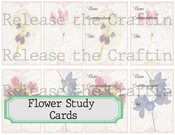 Flower Study Cards Floral Printable Journal Embellishment | Etsy