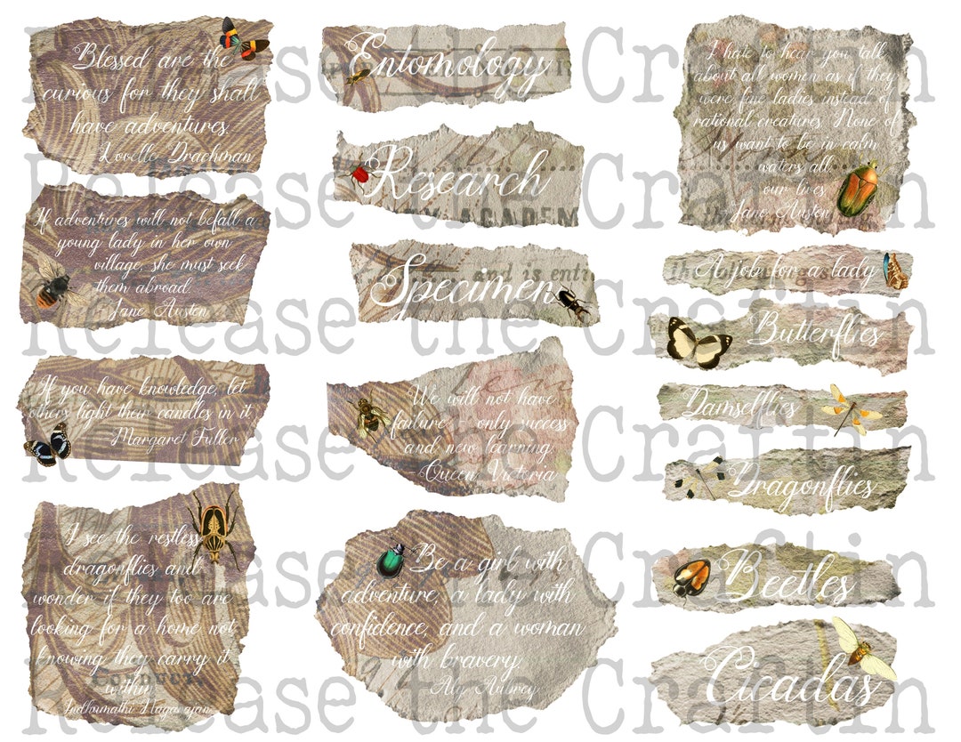 Ladies Entomology Words - Floral - Vintage - Women - Printable Journal ...