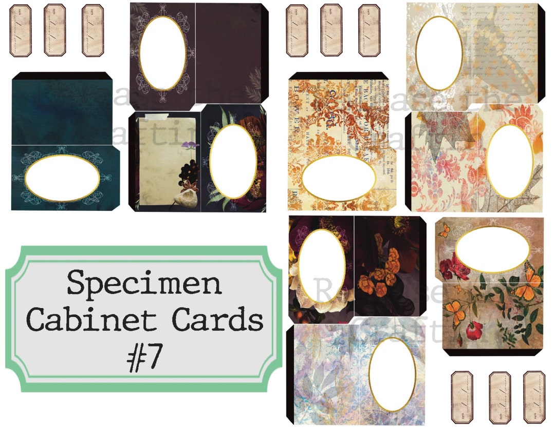 Specimen Cabinet Cards #7- Printable Journal Embellishment - Book of ...