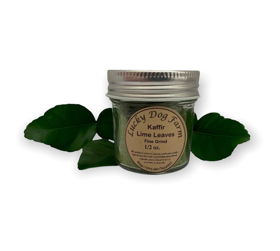 1/2 Ounce Powdered Kaffir Lime Leaves Fine Ground With Jar Makrut ...