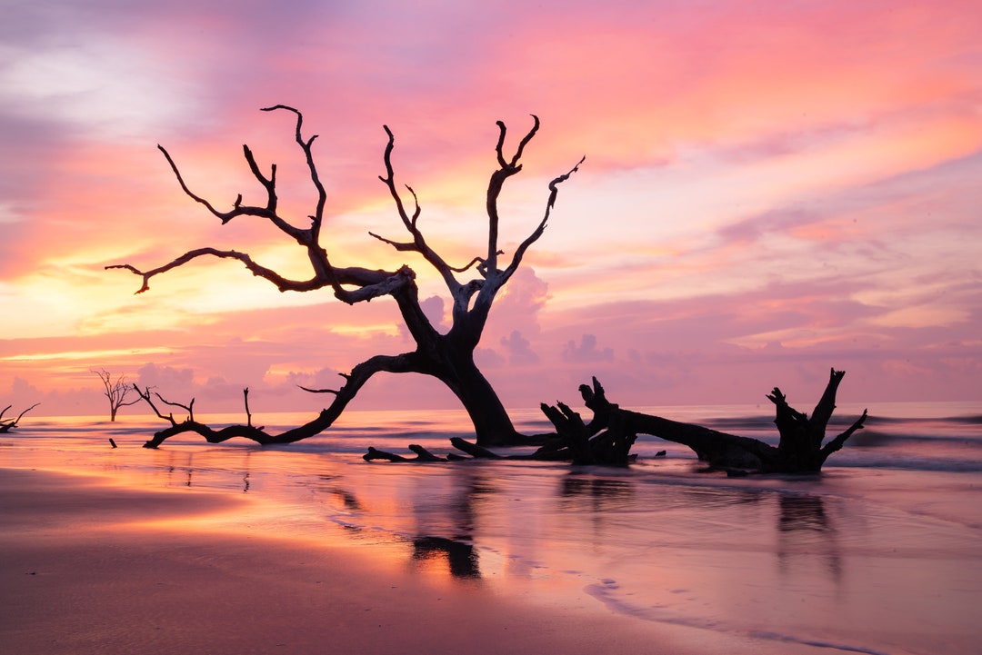 Bulls Island Sunrise - Etsy