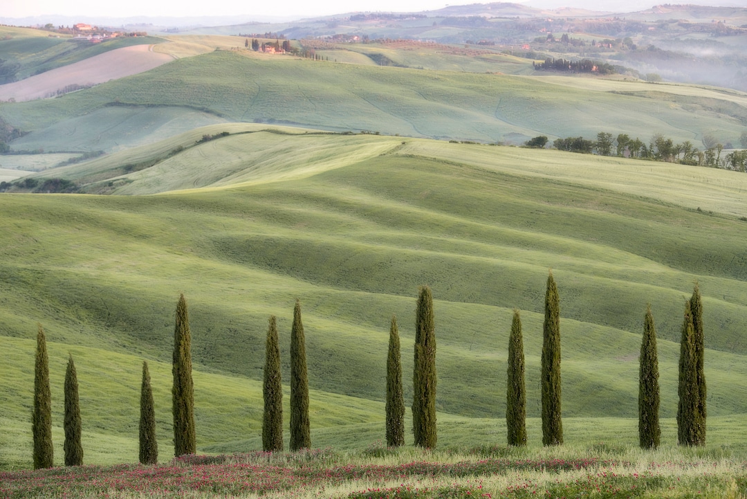 Good Morning Tuscany - Charlestonspired Fine Art Prints - Etsy