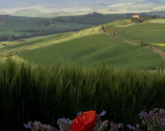 Gladiator Wheat Field Tuscany - Charlestonspired Fine Art Prints - Etsy