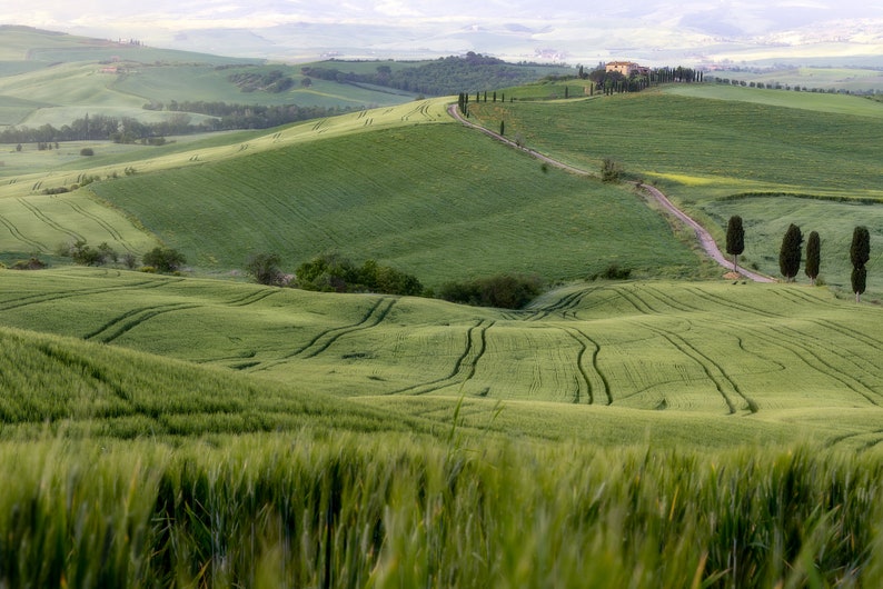 Gladiator Wheat Field Tuscany - Charlestonspired Fine Art Prints - Etsy