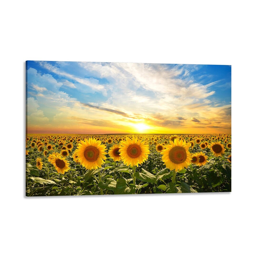 Acrylic Glass Picture Plexiglass Ultra Hd Print Wall Art Panorama ...