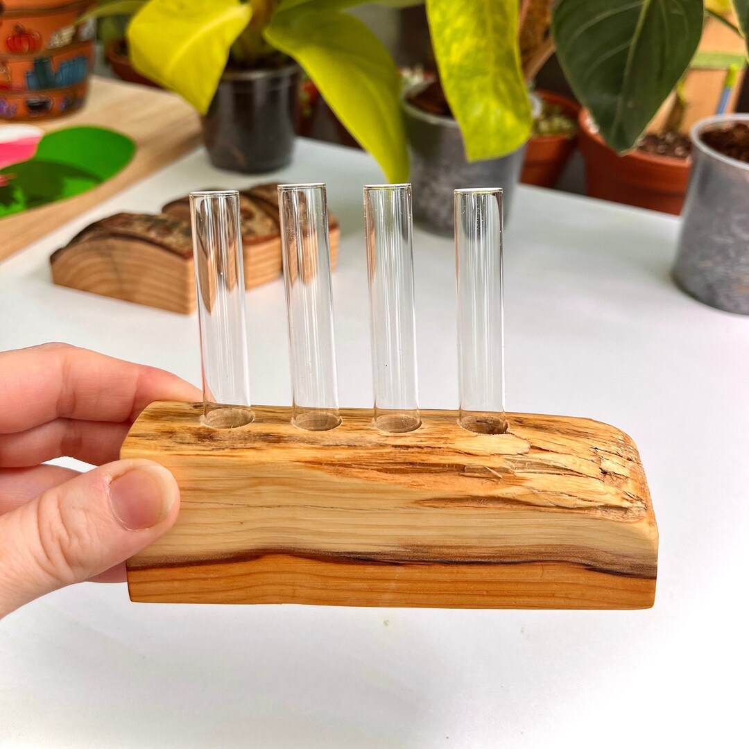 Propagation Station for Plant Cuttings Live Edge Wood - Etsy