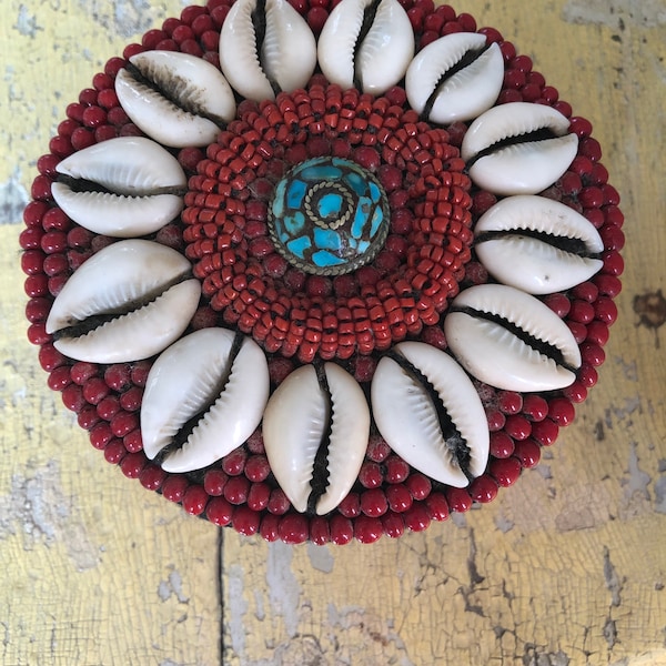 Cowrie Shells - Etsy