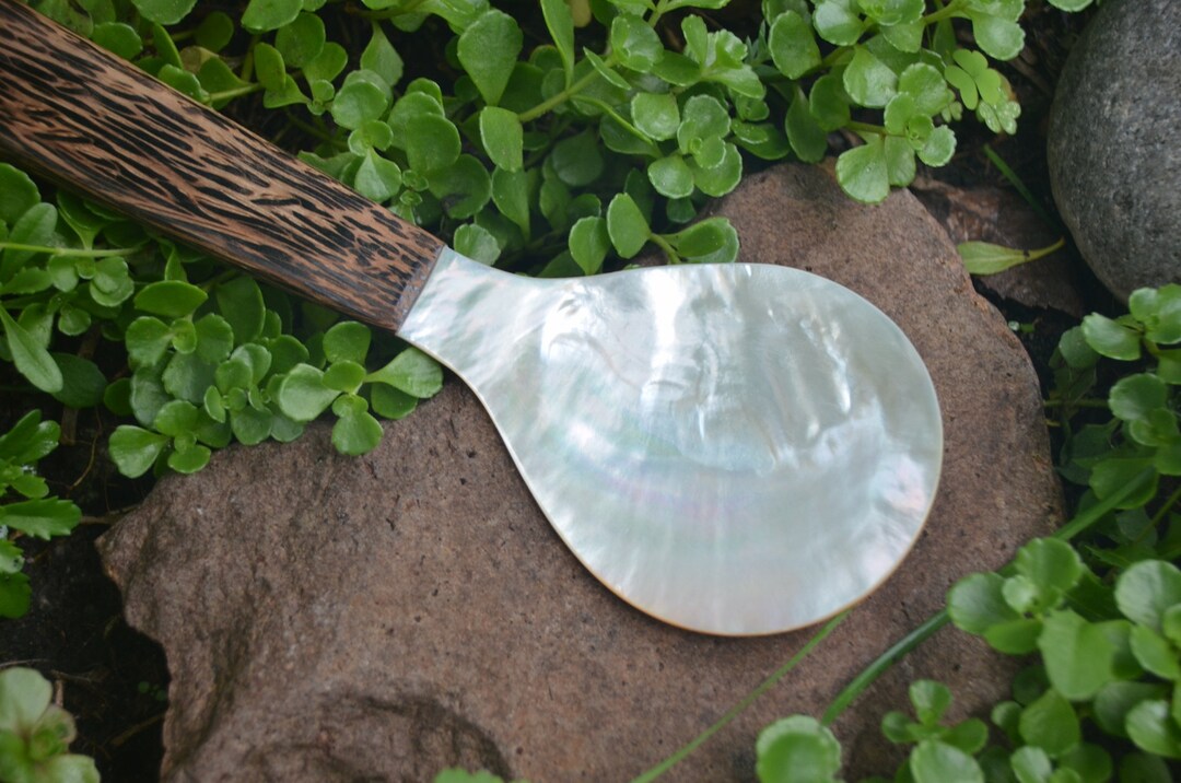 Salad Spoon Abalone Sea Shell Salad Spoon With Wood Handle Measuring 11 ...