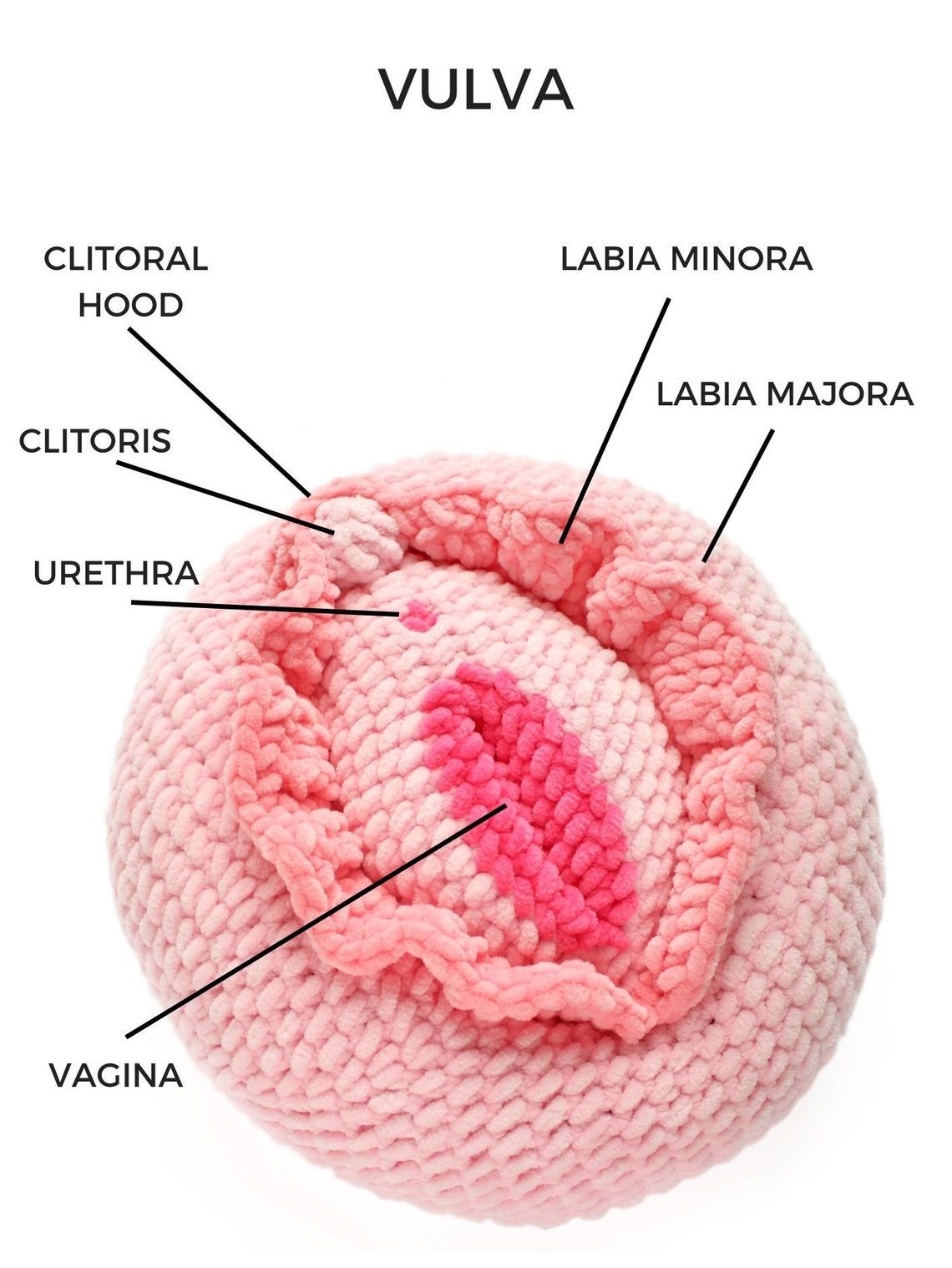 2 In 1 Mature Crochet Vulva And Penis Pattern Pdf Amigurumi Etsy