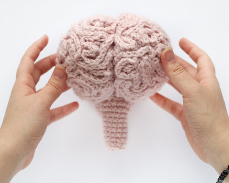 Anatomical crochet human brain Amigurumi anatomy human brain | Etsy