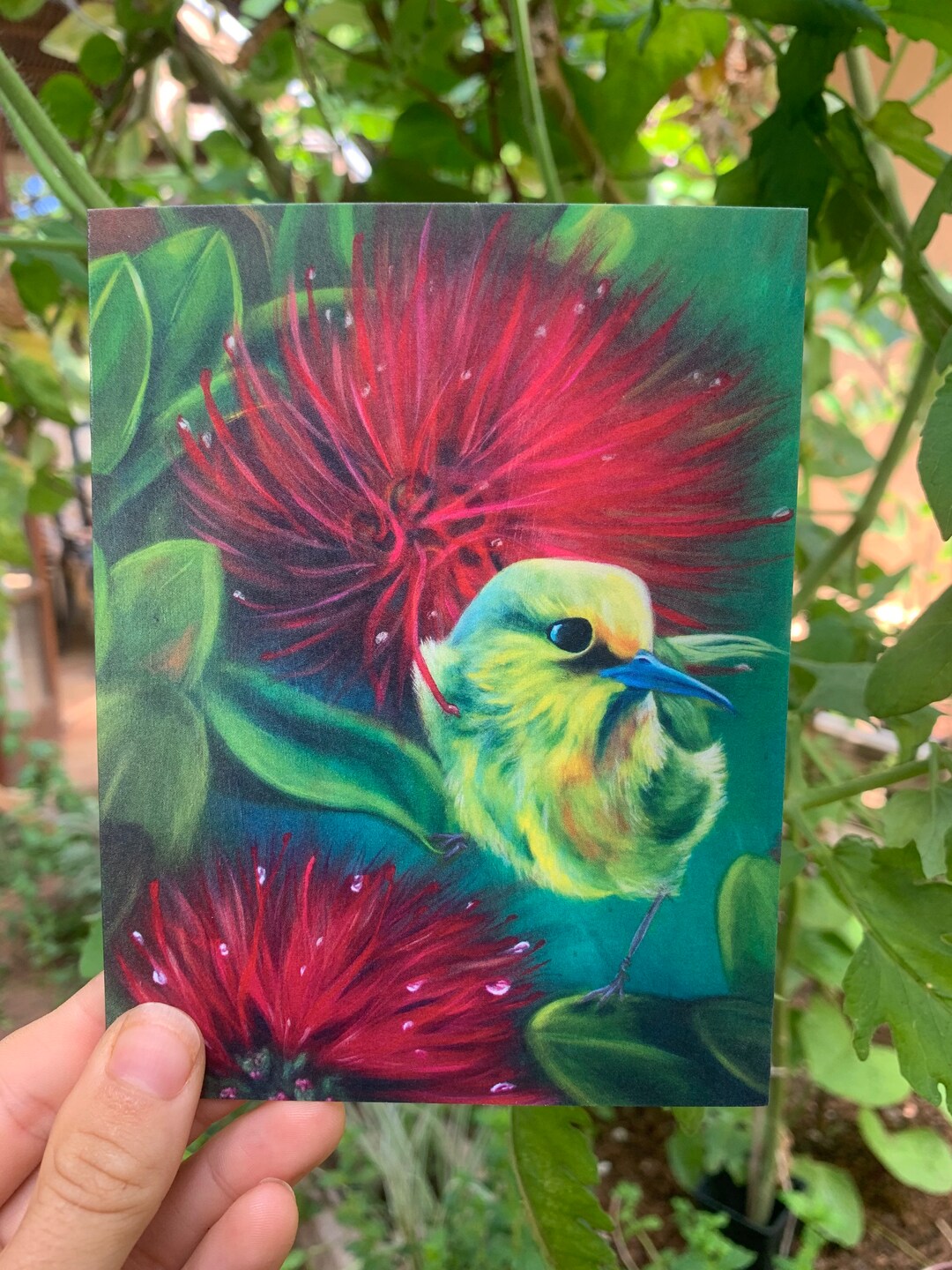 Ohia Flower Artwork | Hawaiian Artwork | Hawaii Greeting Card | Flower ...