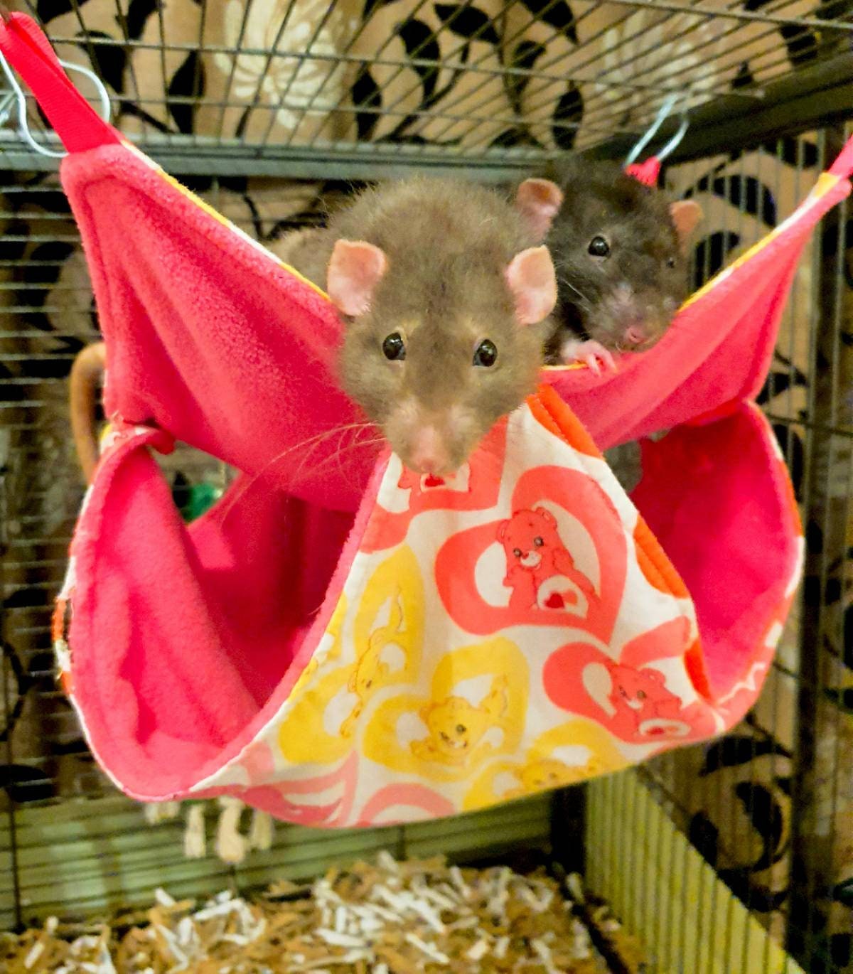 POKEMON PIKACHU Rat HAMMOCK / Pet Hammock. in Yellow. Size Xl. - Etsy