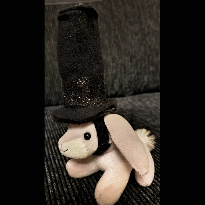 BLACK TOP HAT for Rats Rat costumes Cute dress up hats for | Etsy