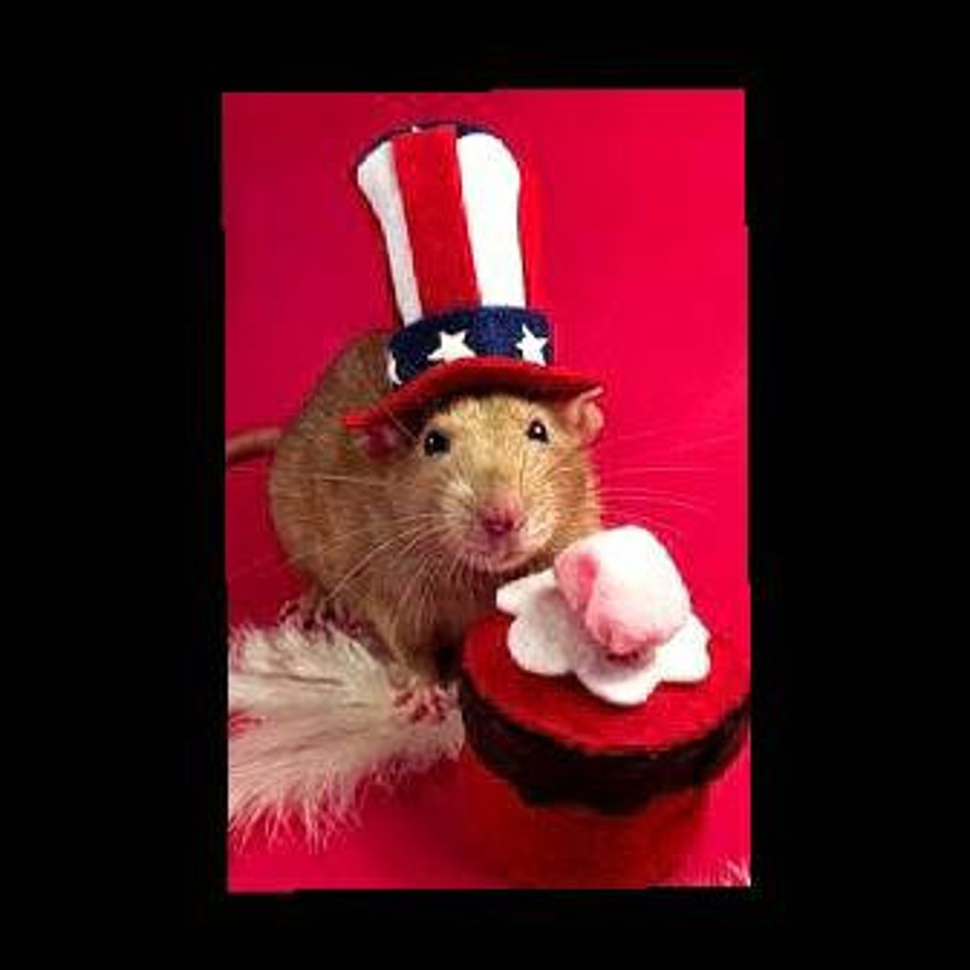UNCLE SAM HAT for Rats Patriot Costumes Cute Dress up Hats - Etsy