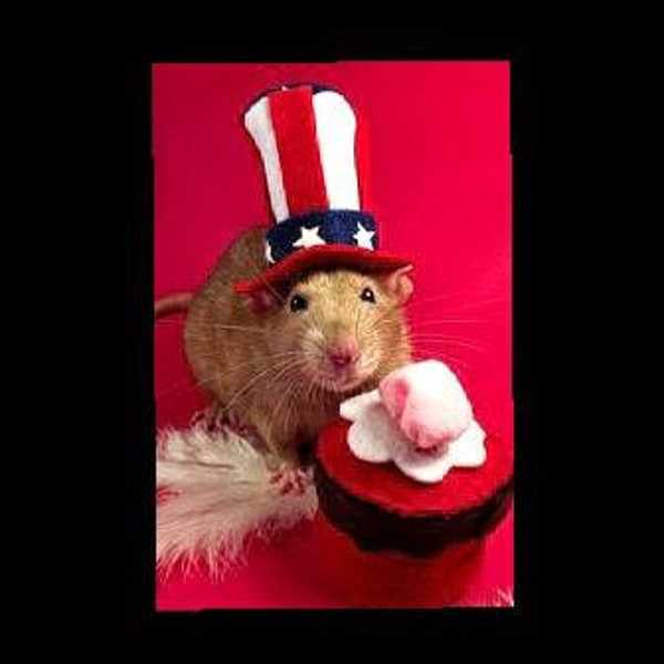 Rat Birthday Hat - Etsy