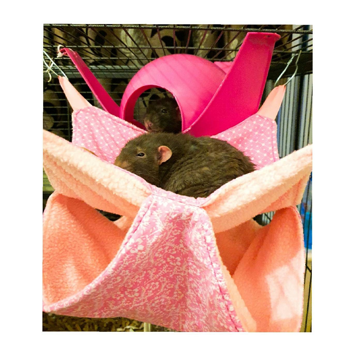 SONIC THE HEDGEHOG Honeycomb Rat Hammock / Pet Hammock. in - Etsy