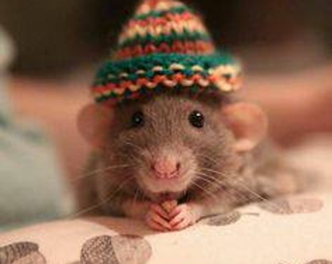 BOBBLE HATS for RATS. Christmas Hat Cute Dress up Hats for - Etsy