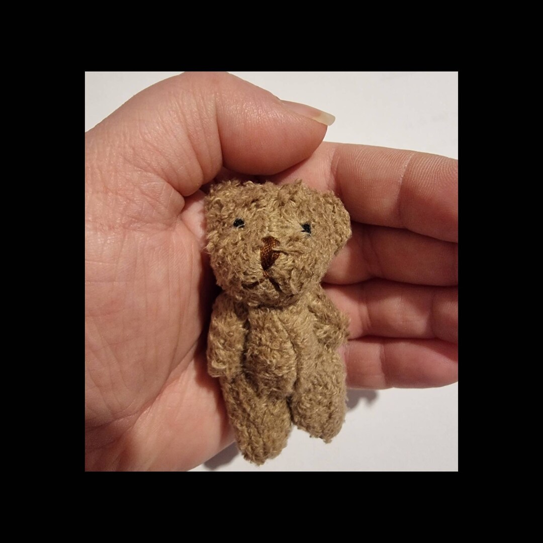 Teddies for Rats, Rat Teddy - Etsy