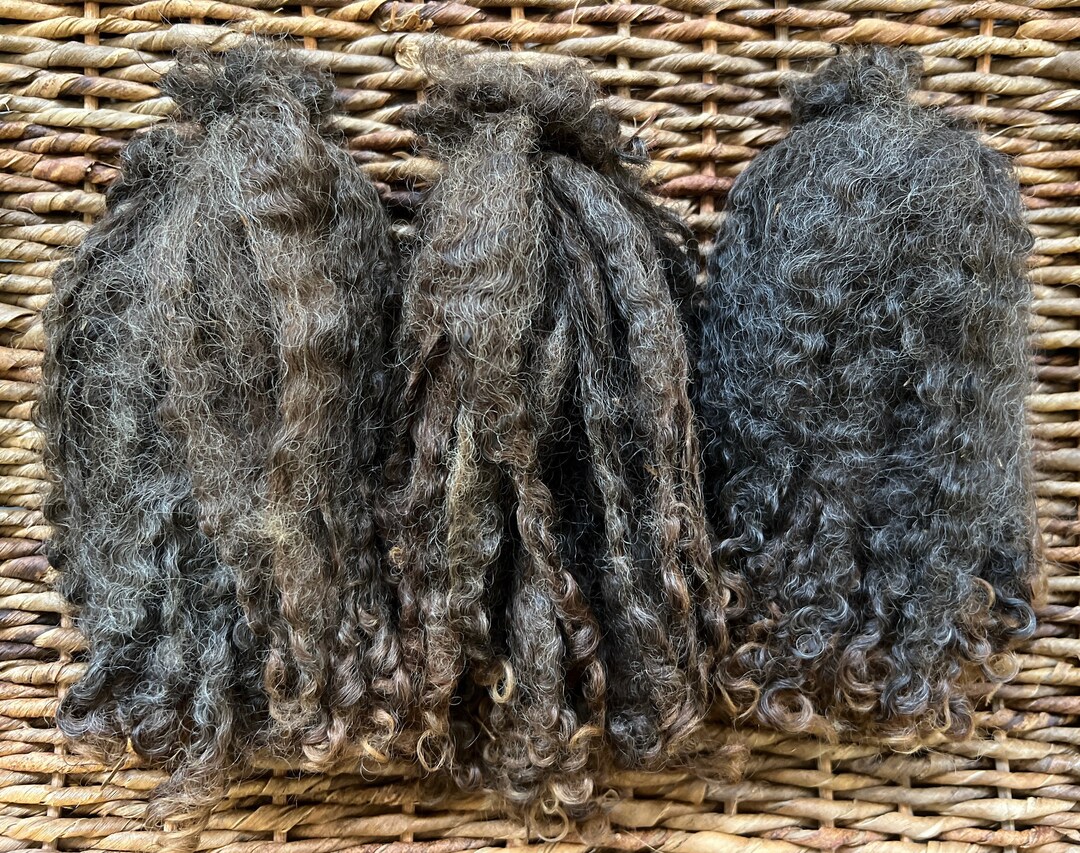 Border Lester Lamb Multicolor 1st Clip Locks (bundles) 1 Oz - Etsy