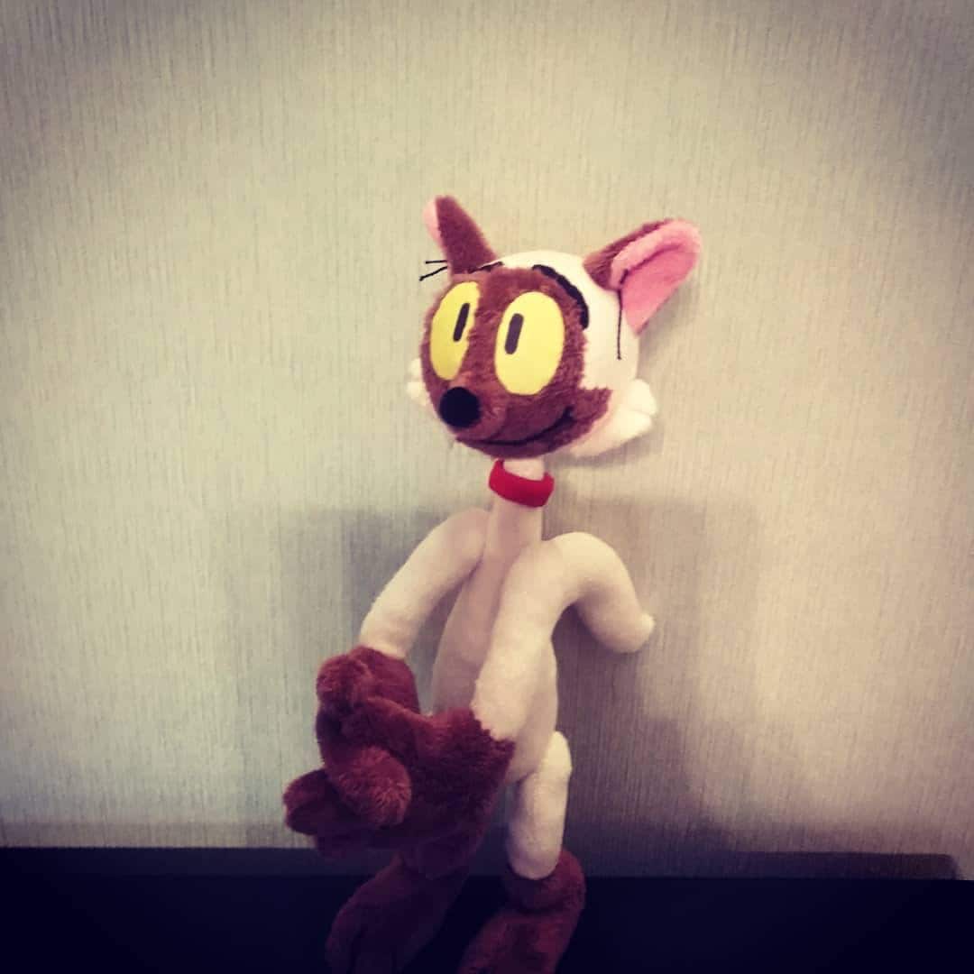 Custom-made Plush Inspired by Cat Chester From Bannicula - Etsy