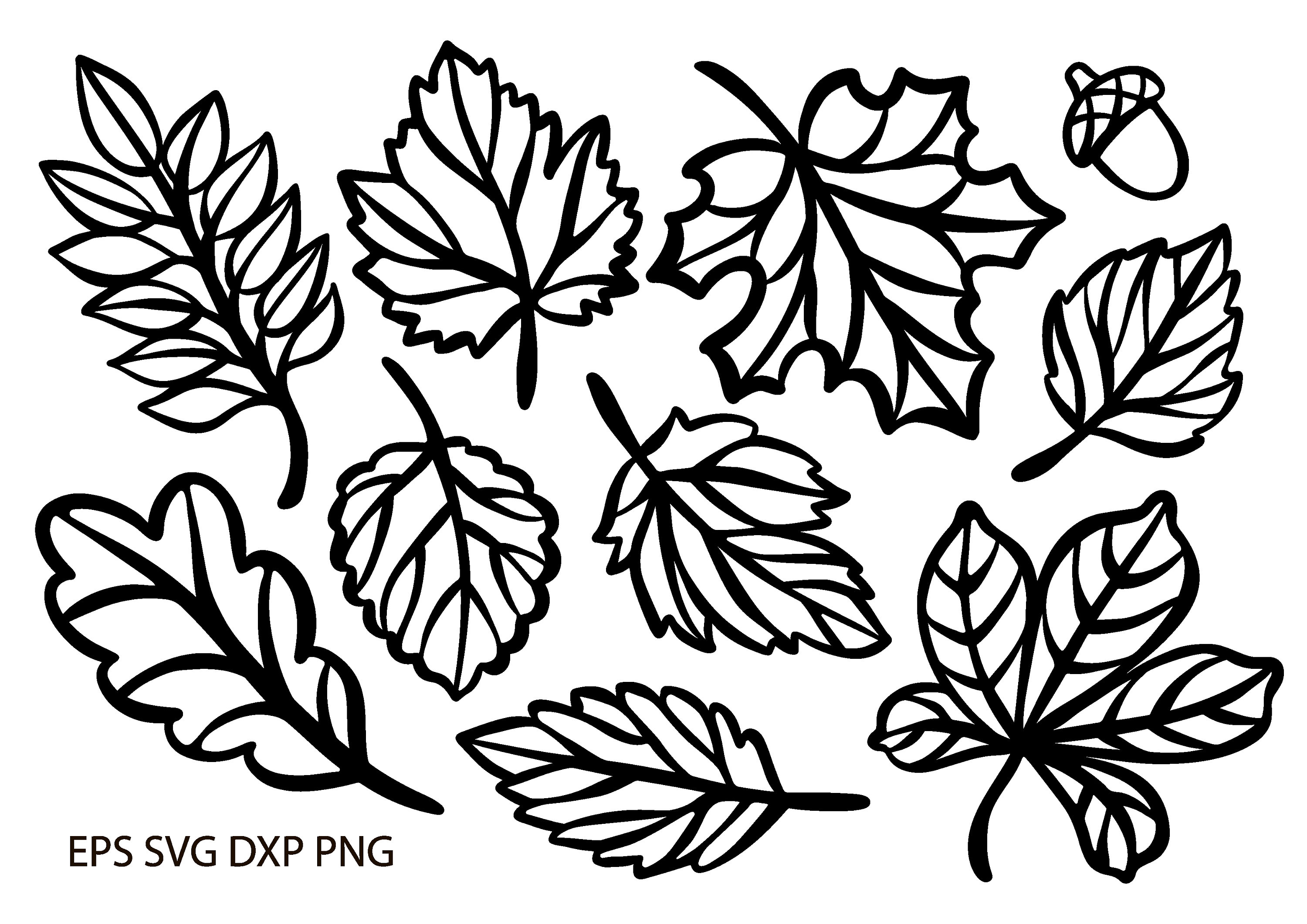 AUTUMN SILHOUETTES Svg Eps Dxf Vector Cliparts of Leaves for | Etsy Ireland