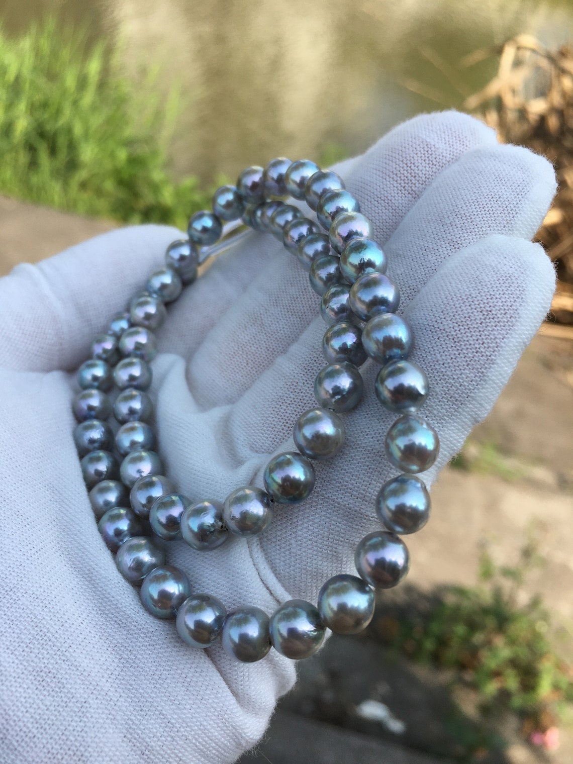 Natural Blueish Gray Color Akoya Pearl Strand|japanese Seawater Pearl ...