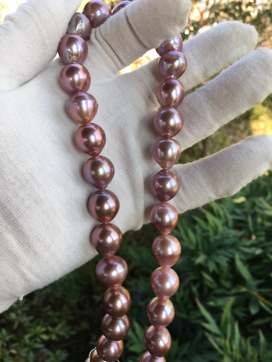 Hilo de perlas Edison de color púrpura magenta intenso natural/cordón ...